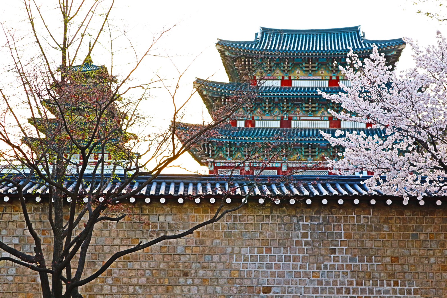 学生が実際に旅行に行った国をリアルレビュー.おすすめスポットを